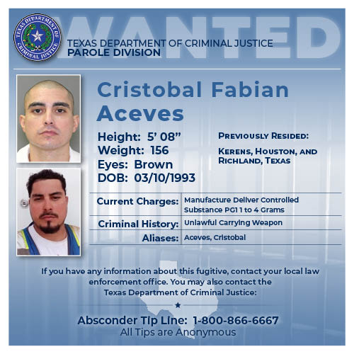 Tdcj Parole Release Information