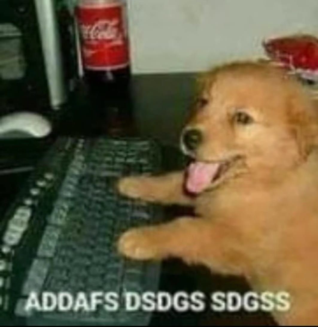 Dog Typing Meme Dog Typing Stock Illustrations – 582 Dog Typing