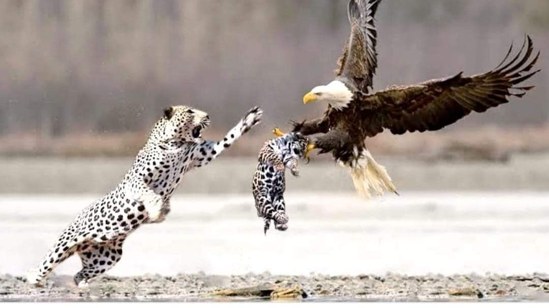 VINAY_JAAT__0077 (@vinaypadra) / Posts / X