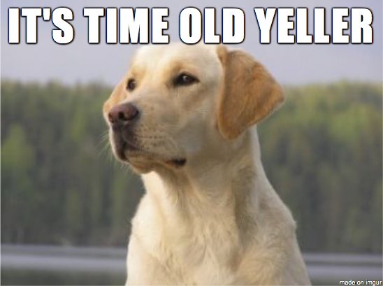 Old Yeller Dog Memes