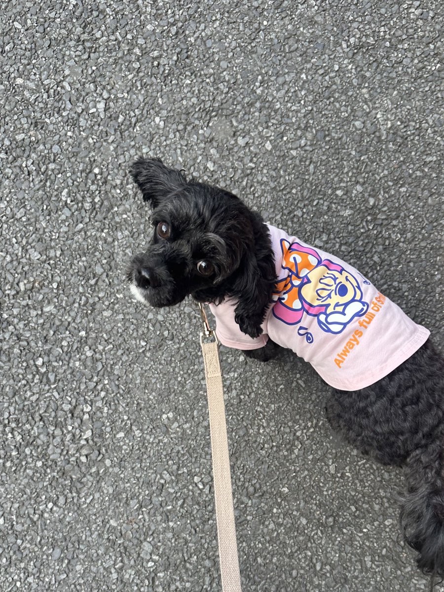 REBD-918 Nao2 Stilla-moving version-・神宮寺ナオ - MissAV | オ