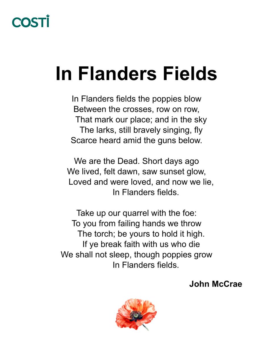 Flanders Field Poem