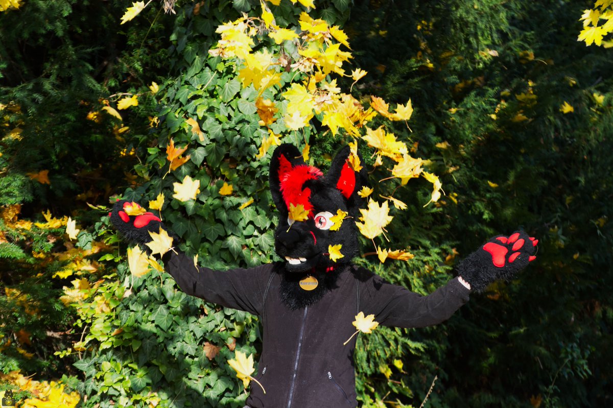 KuramaTheWolf @KuramaTheWolf X Profile | Muskviewer