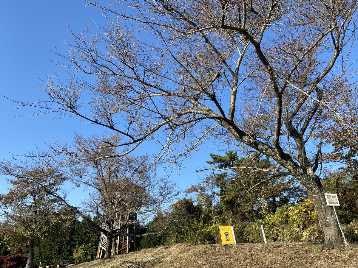 Nabeshin-F700GS (@NBF700gs) / Posts / X