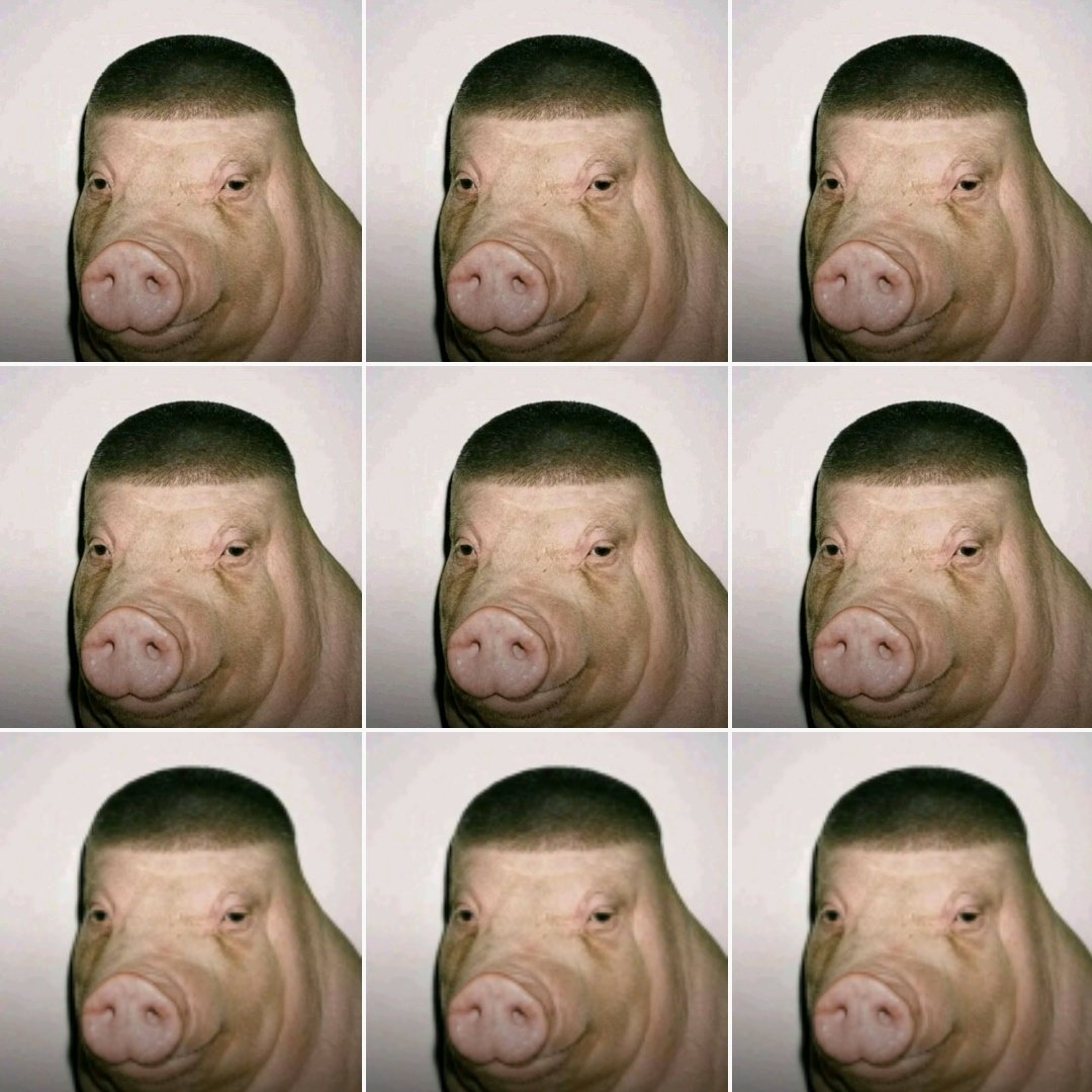'Wigger Pig' Meme with Fade Haircut Goes Viral on X