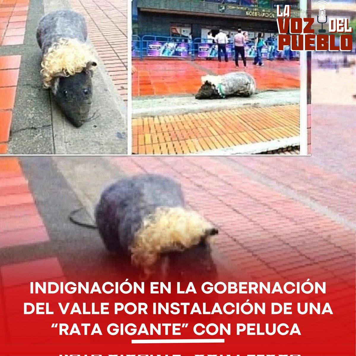 Rata Gigante Memes El Ratón Grande