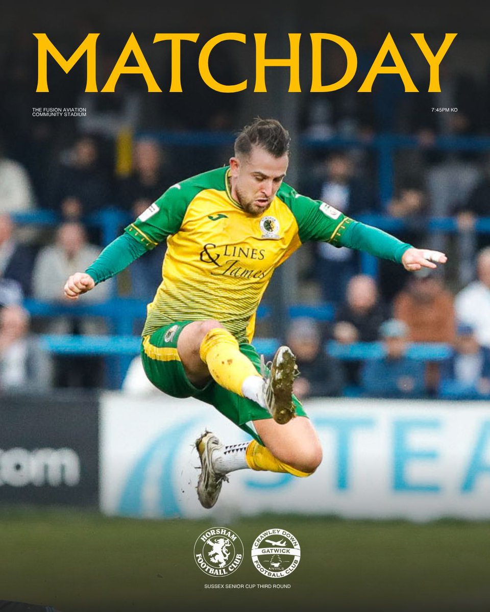 Archie Harland-Goddard - Horsham Football Club