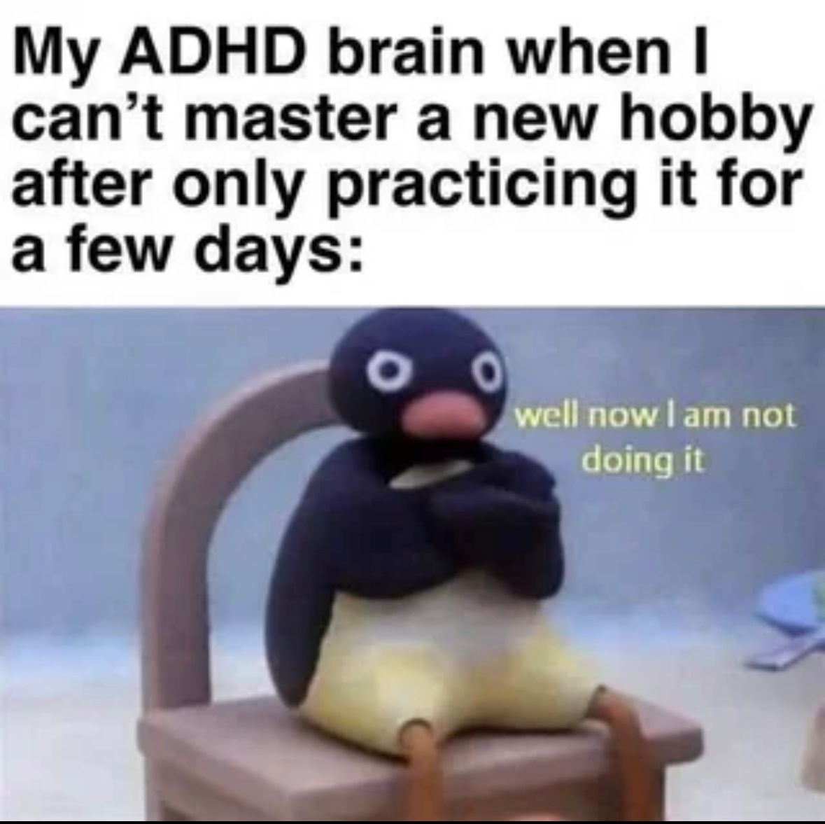 Hobie Meme