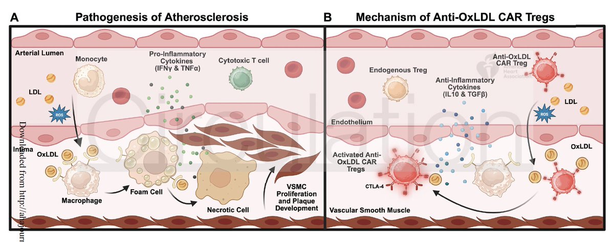 Avery Posey @IAmDrDex X Profile | Muskviewer