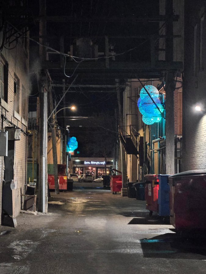 Public Art – small dead animals