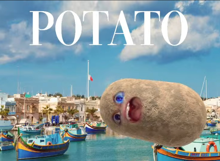 The Littlest Snail (@SnailFortnite) / Posts / X