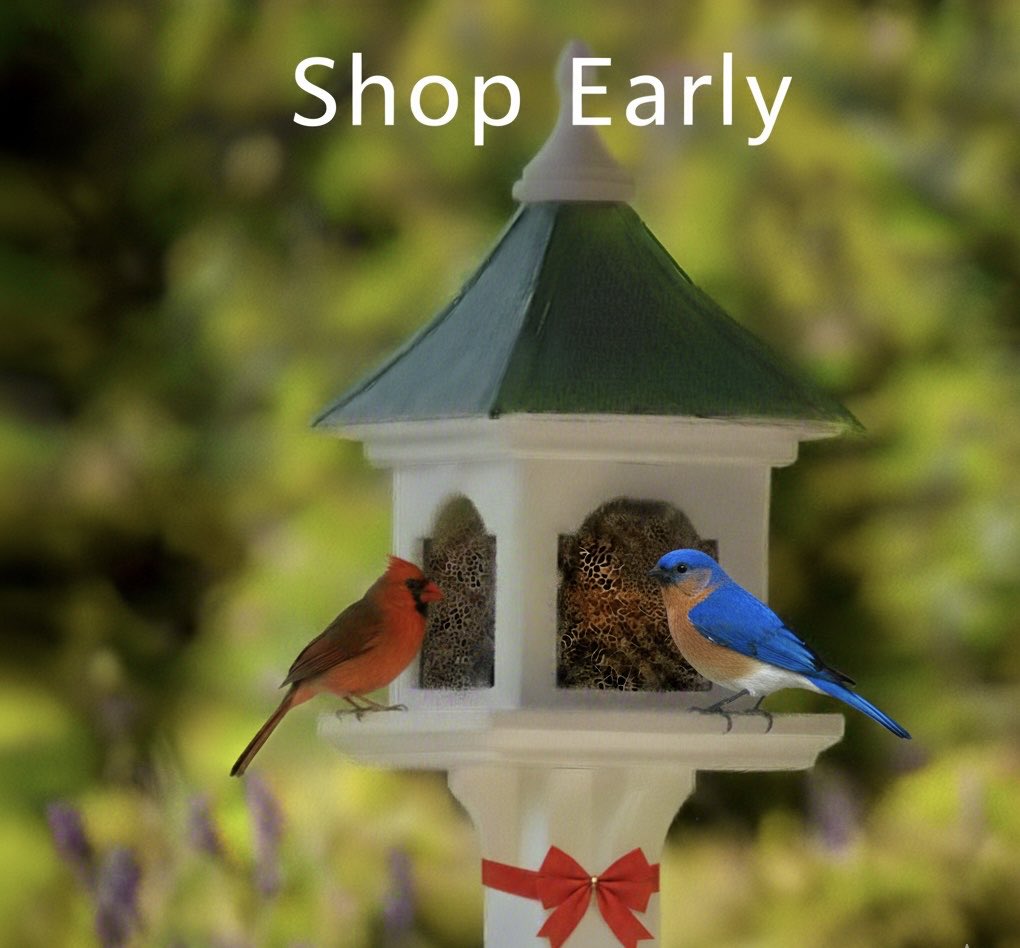 BackyardBirdWatcher (@originaltweet) / Posts / X
