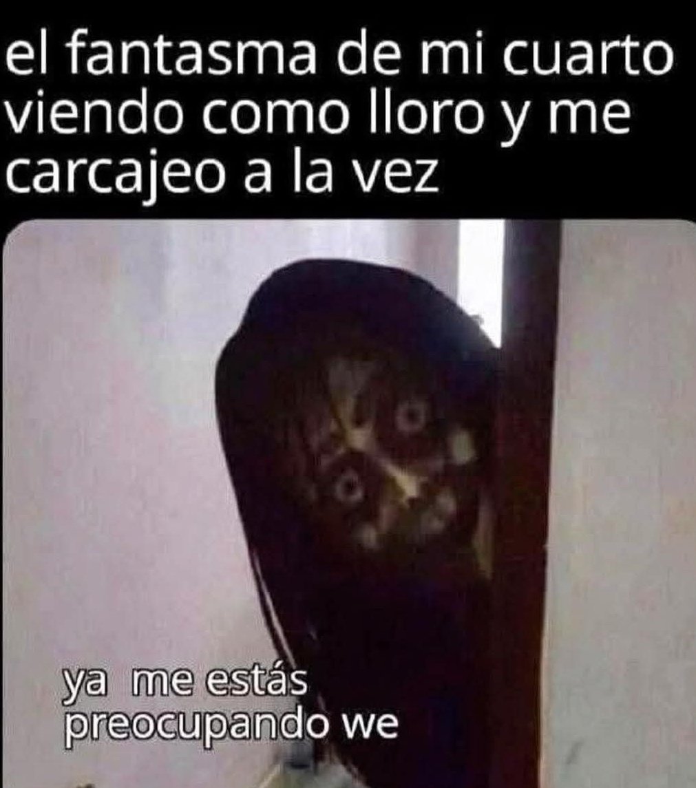 Memes De Loca