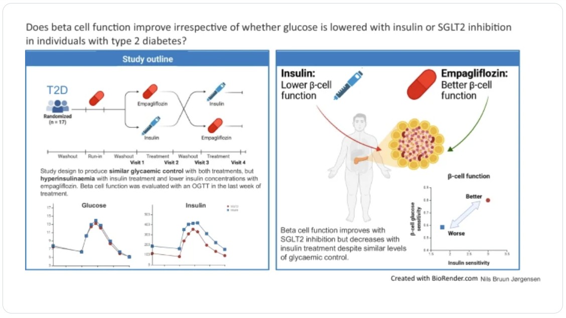 60 years of metformin use: a glance at the past and a look to the ...