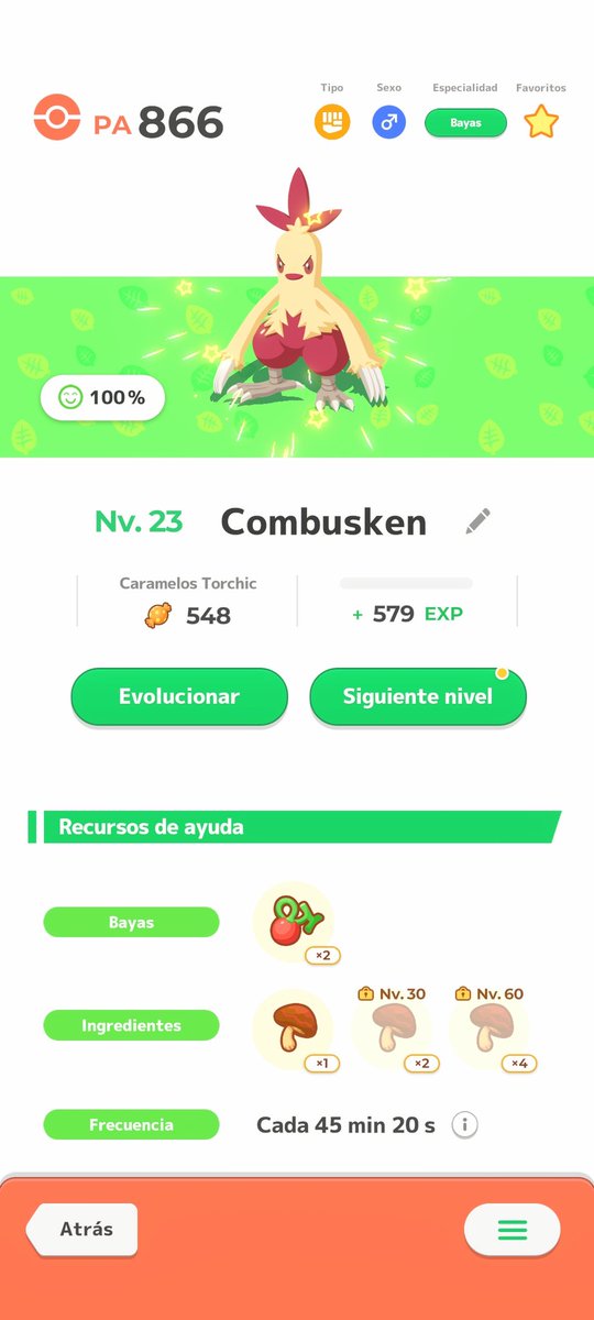 Shiny Combusken