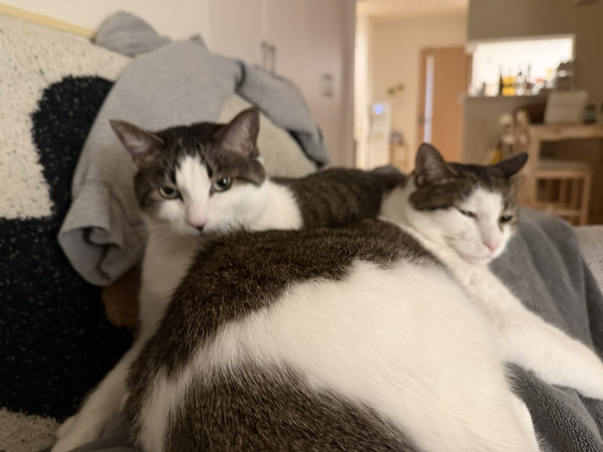 JUR-424 无法移动…入住率200%上下班高峰拱背痴汉竹内优希 - 竹内有纪 - MissAV | 免费高