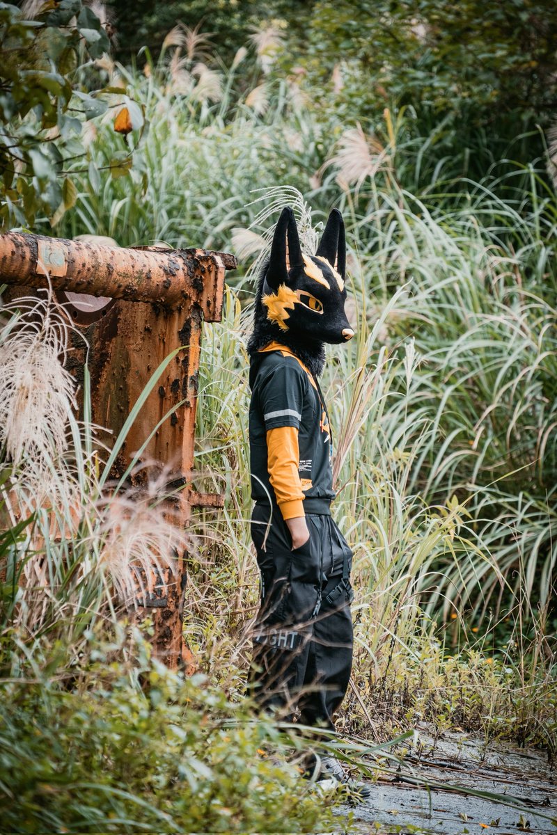 A wild wolf has appeared! What is your next move? 1. Defeat it 2. Get ...
