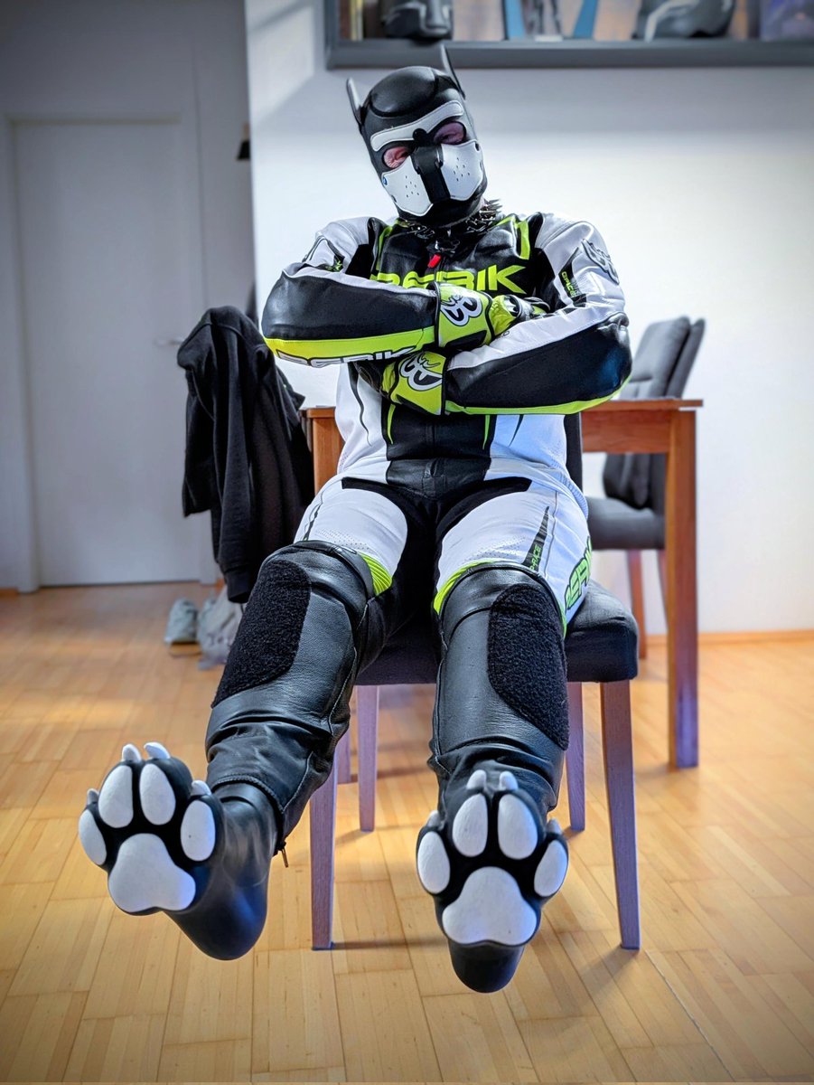 Suit on, Mask on, paws are ready. Let’s play 😜😏🐶 #PuppyPlay #PupGear # ...