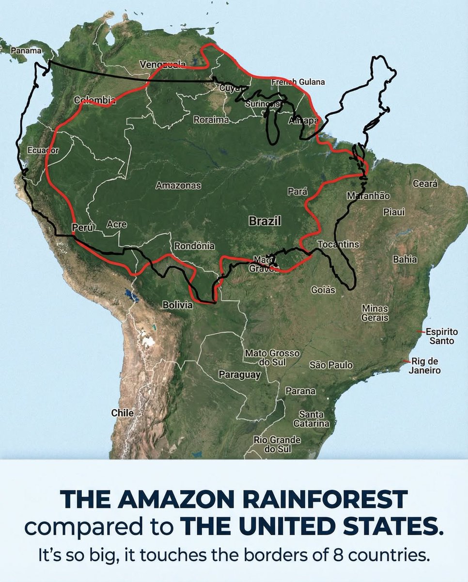 The Amazon Rainforest vs The United States