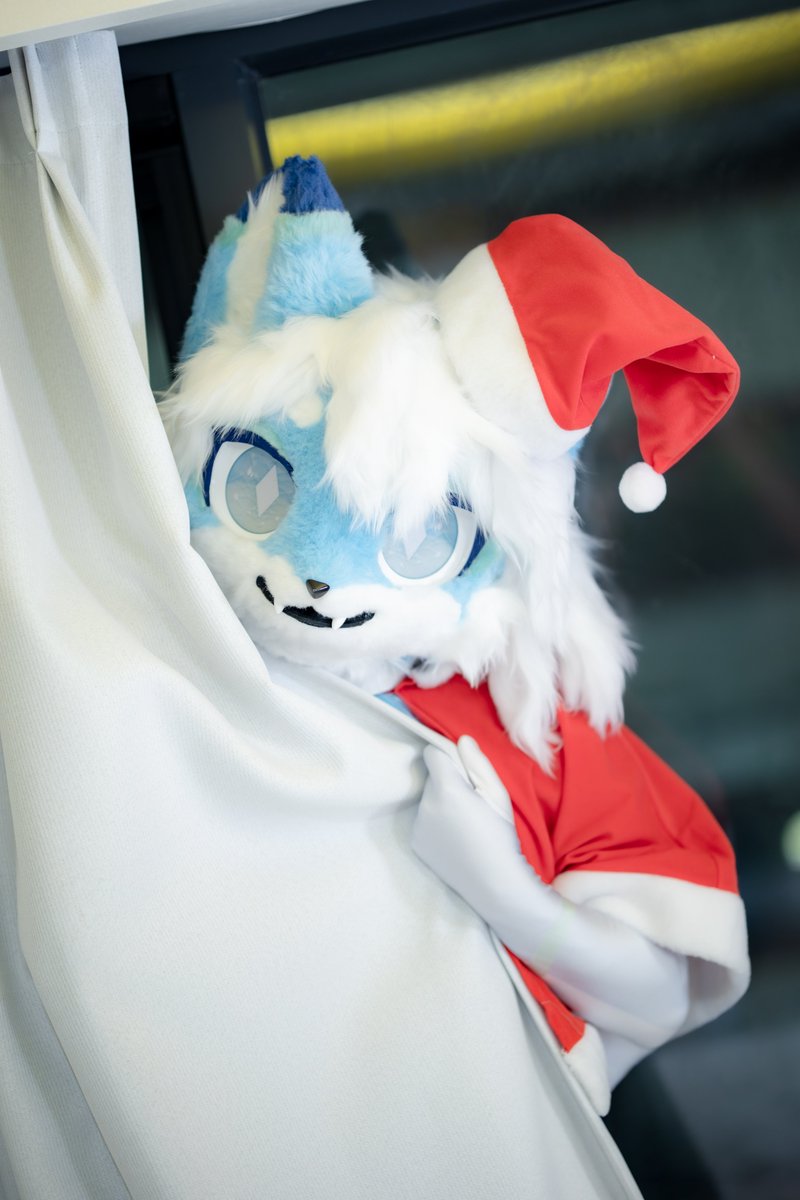 Merry X-mas~ #FursuitEveryday #fursuit https://t.co/VidhV6b80N