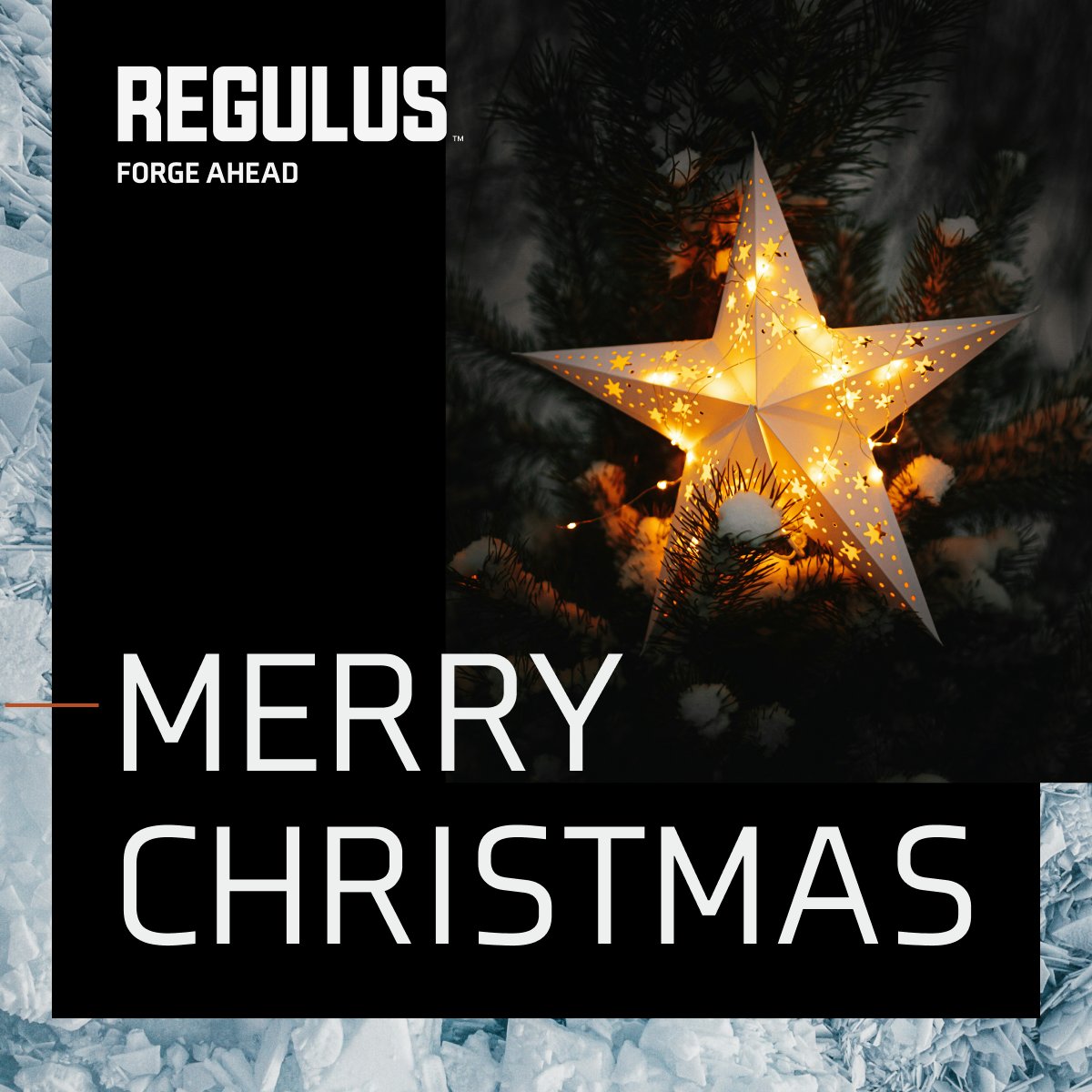 Home - Regulus Global