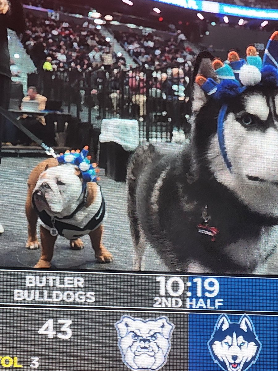 Butler Bulldogs Memes