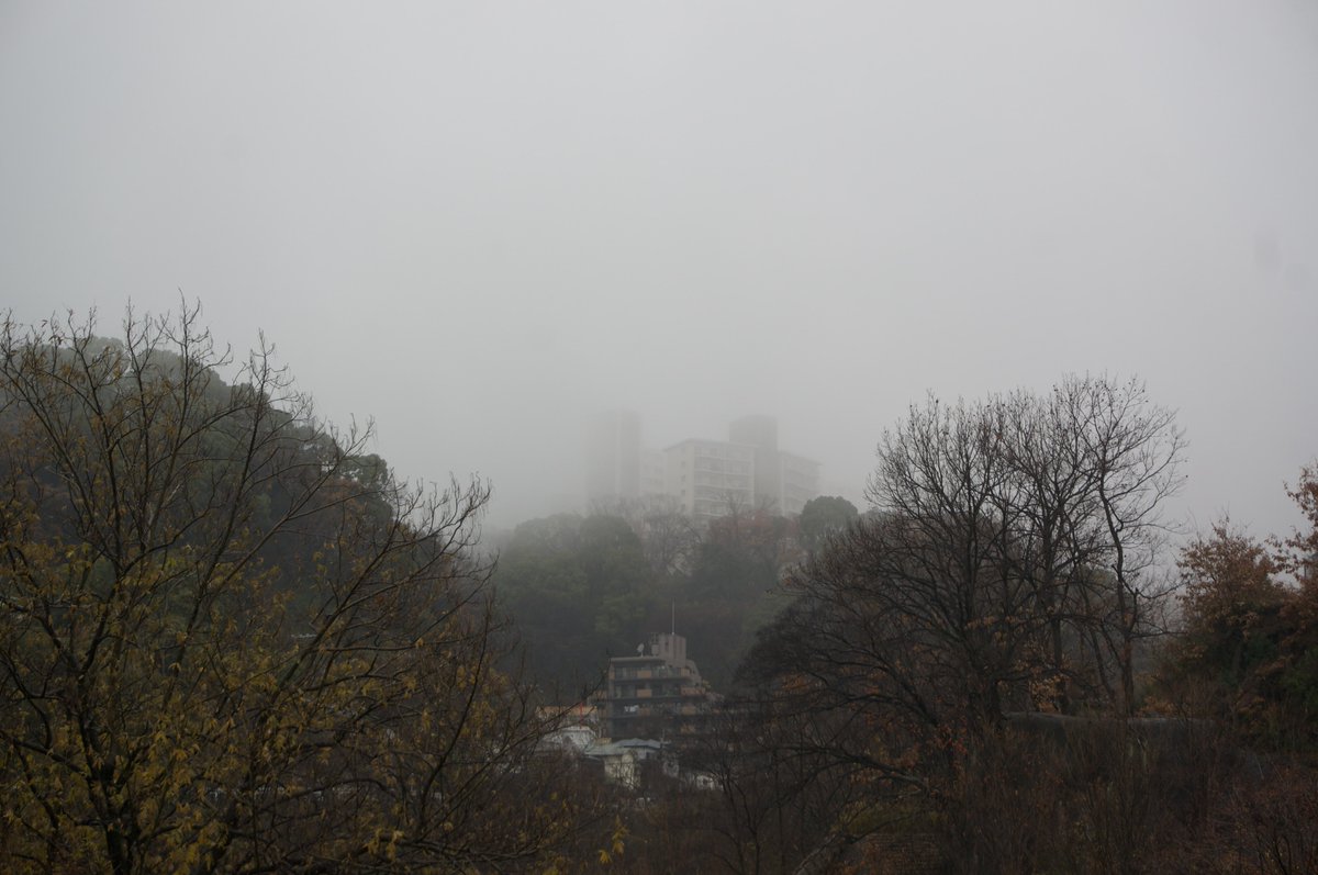 Sin(Commission Soon) @SinTryBest X Profile | Muskviewer