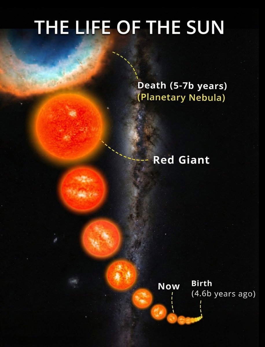 The Red Giant Sun