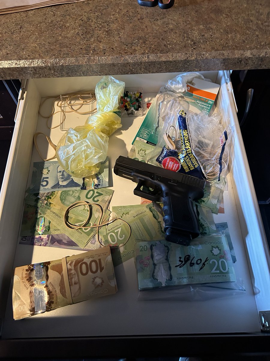 Edmonton Police @edmontonpolice X Profile | Muskviewer