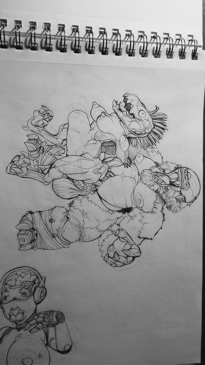 I don't have a scanner, sometimes i just take photos of sketches in a ...
