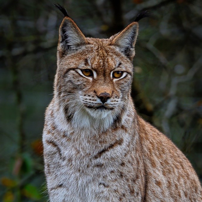 CASE STUDIES | Dr Blake Morton