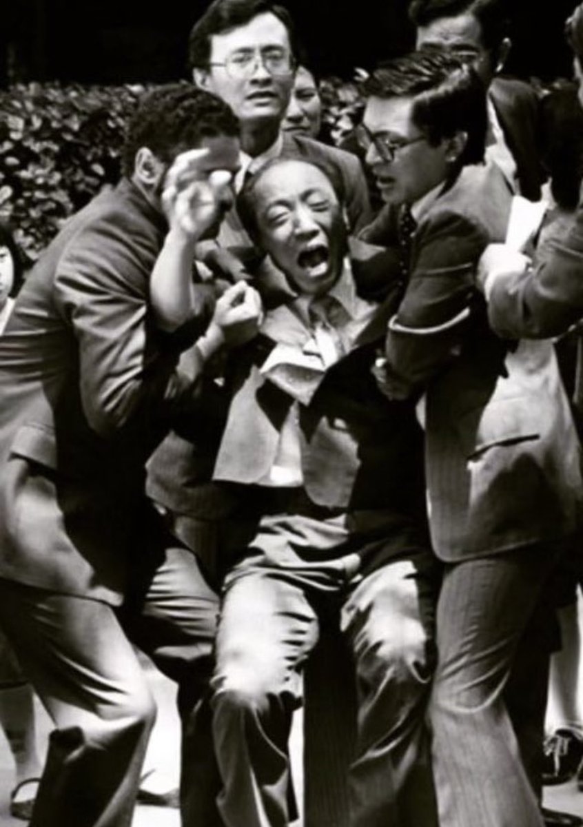 Renee Shin Yi Chen Daily Almanac