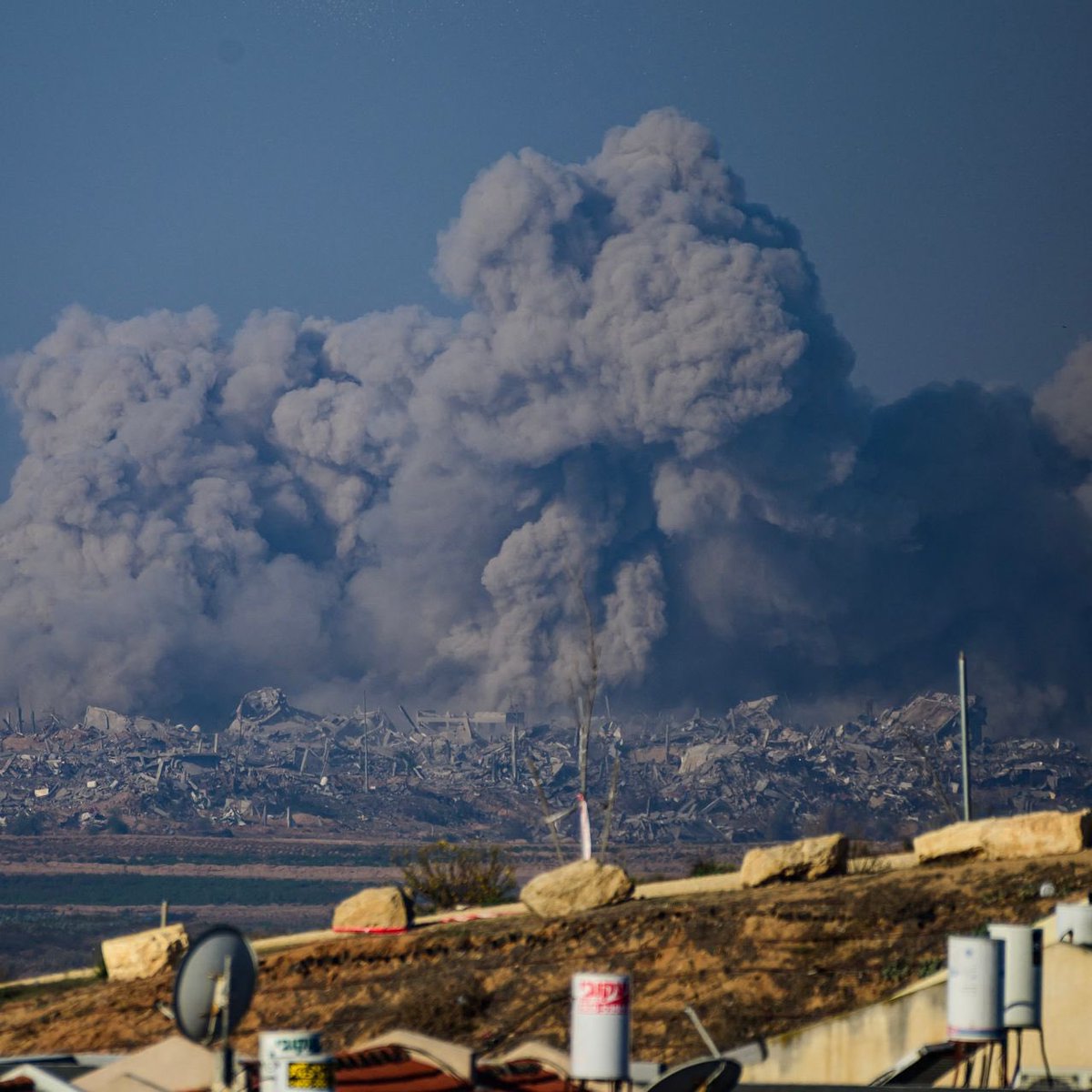 Daniel Bachmat's Threads – Thread Reader App