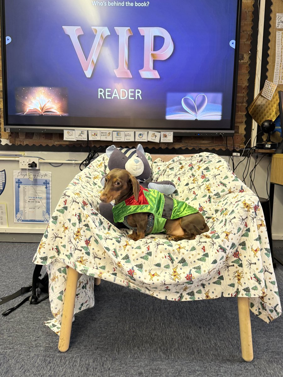 Little Nativity! | All Souls' Catholic Primary School