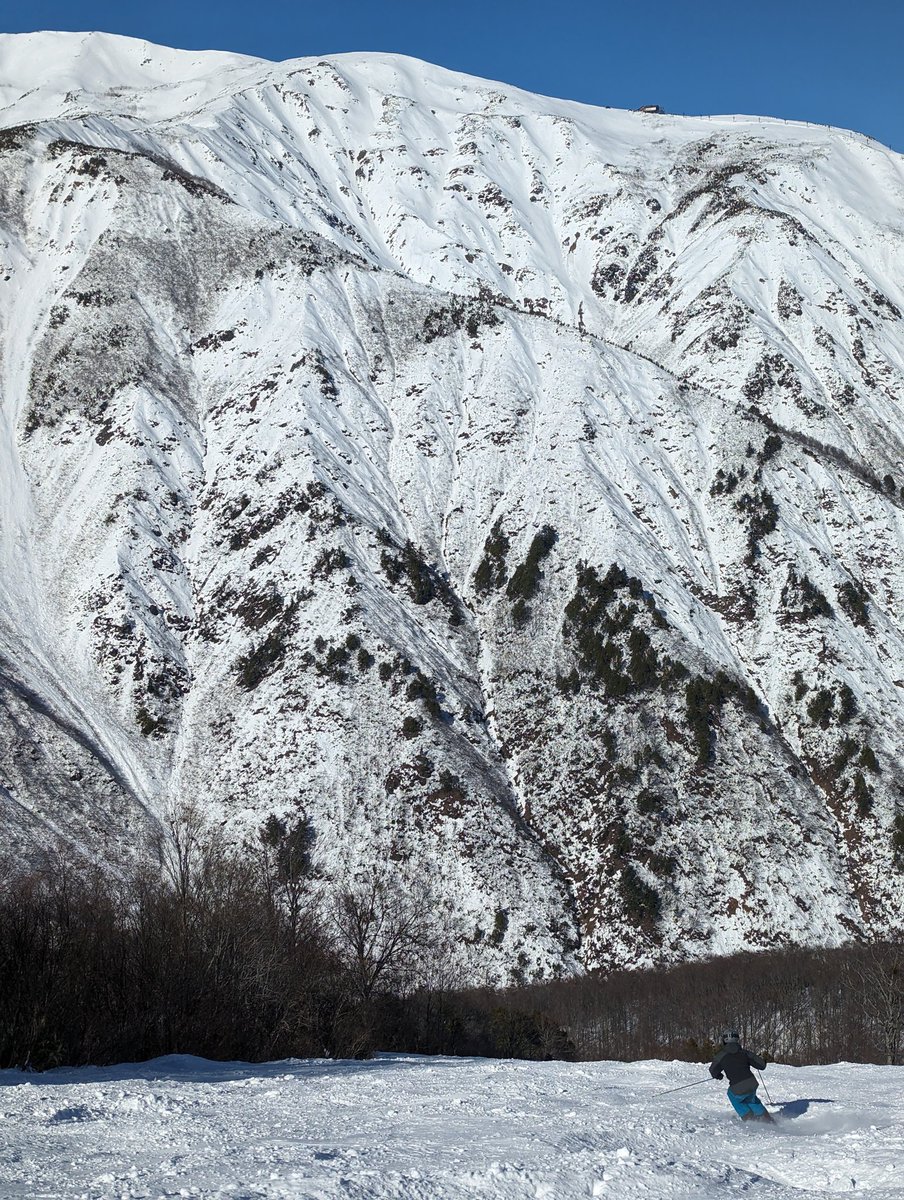 Ikuo Mizuuchi(@IkuoMizuuchi) - Twilog