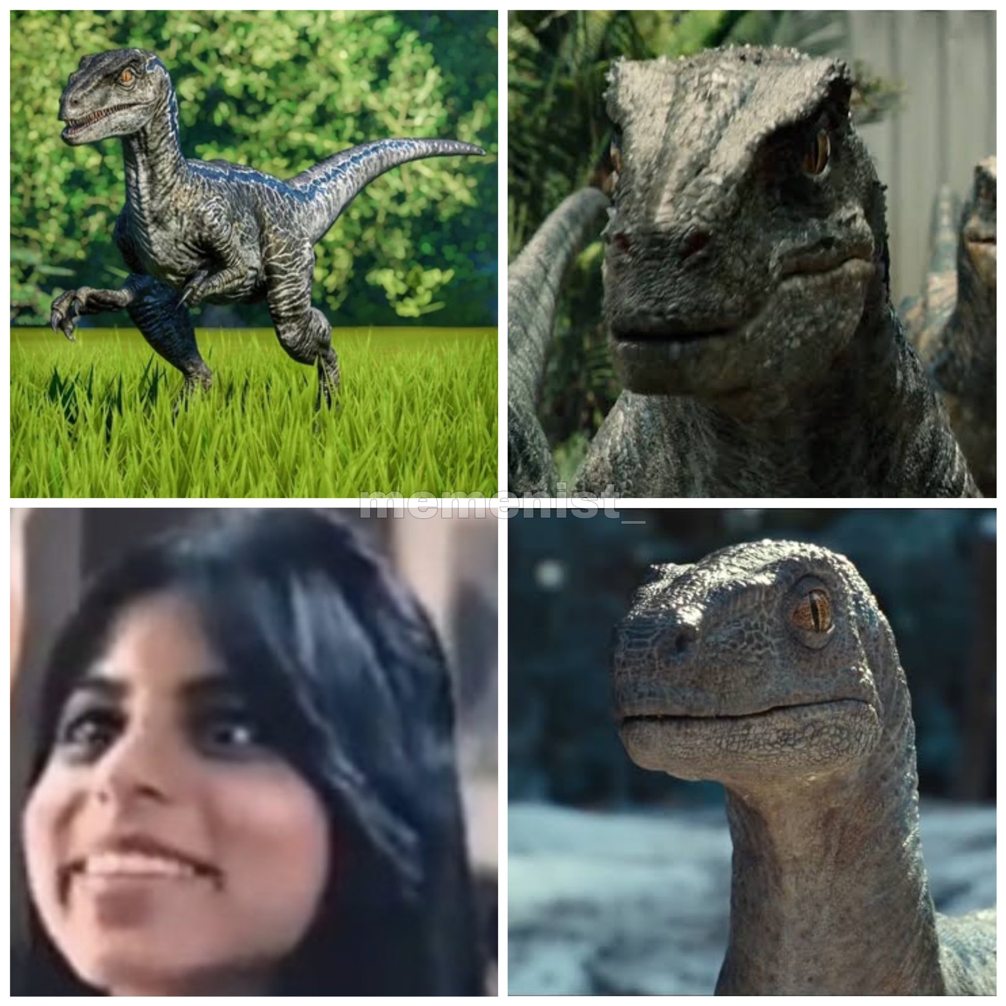 Jurassic Velociraptor Memes