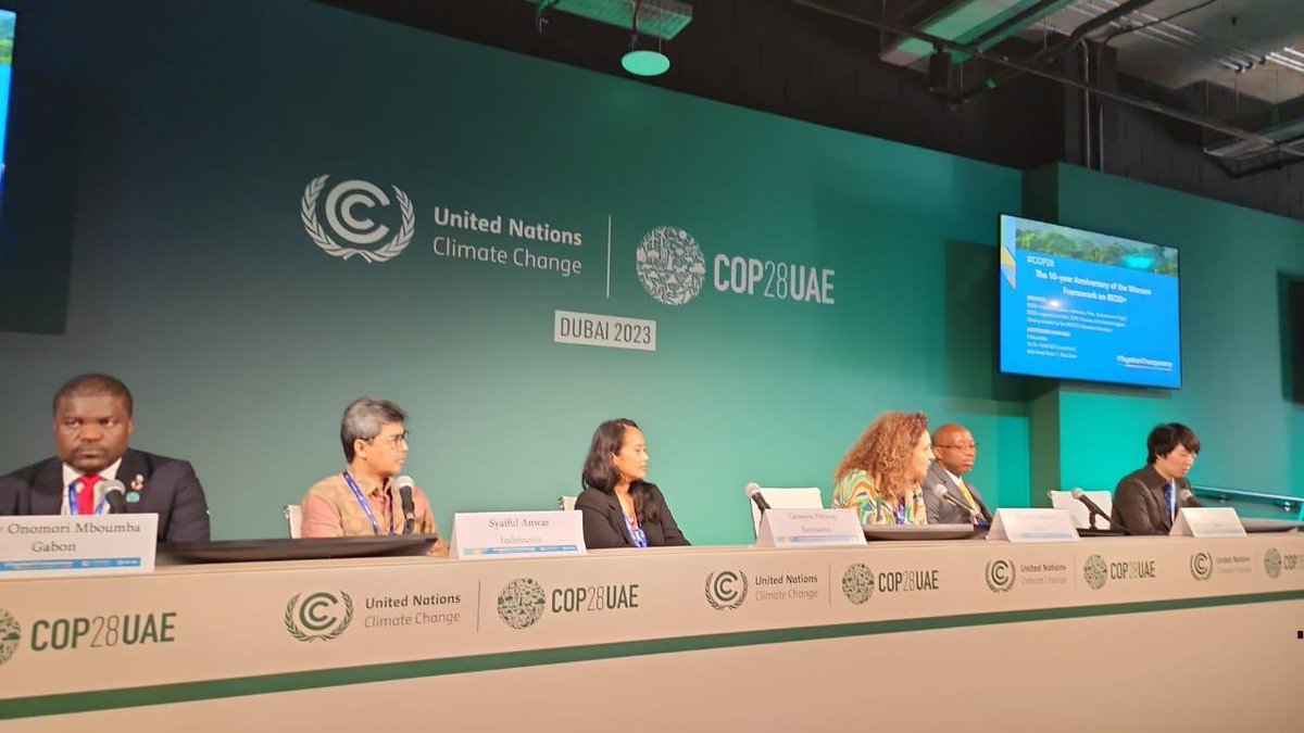 CfRN COP27 2022 - Coalition for Rainforest Nations