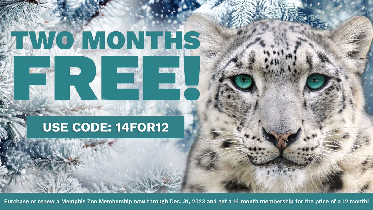 Memphis Zoo Snow Leopard Memphis Zoo Lego Brick Sculpture Exhibit