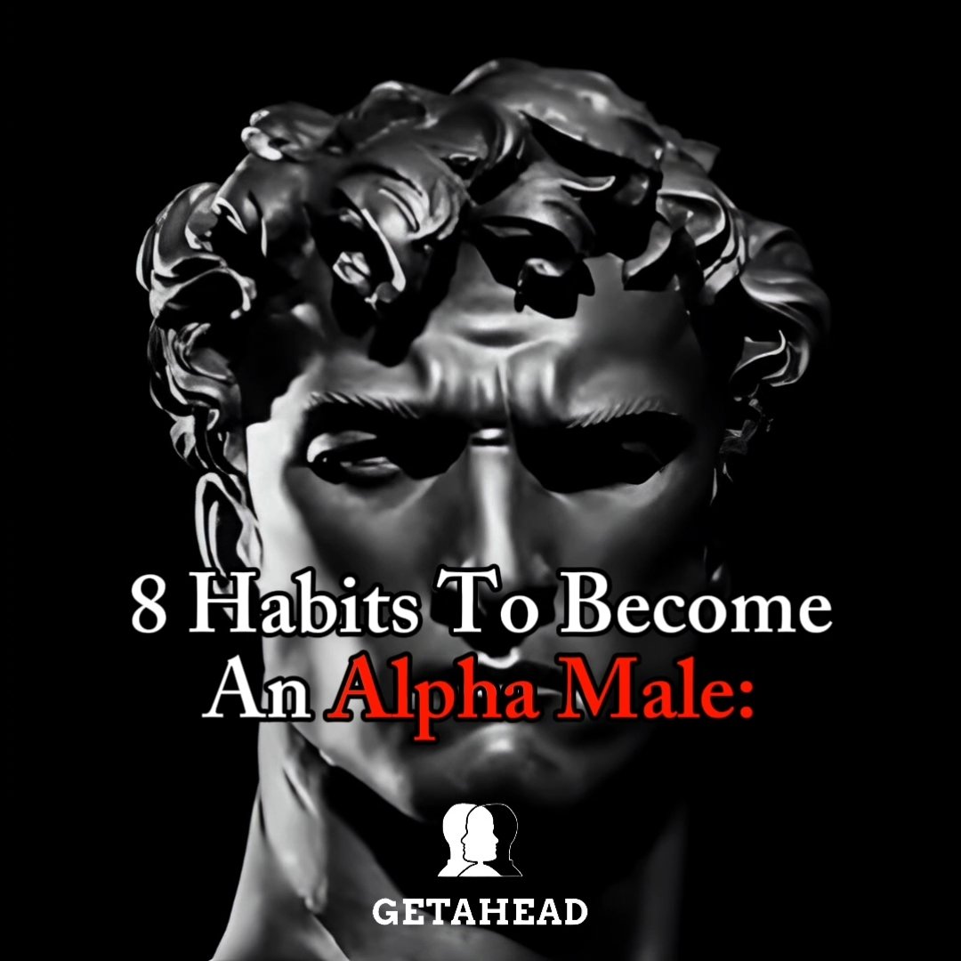 8 Habits To Become An Alpha Male: - Thread - - Thread from GetAhead ...