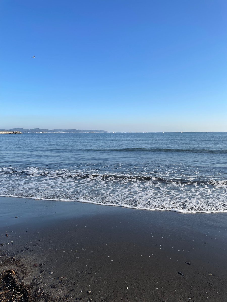 山川夜高🏖せ-08・11/11(土)文学フリマ東京出店(@mtn_river) - Twilog