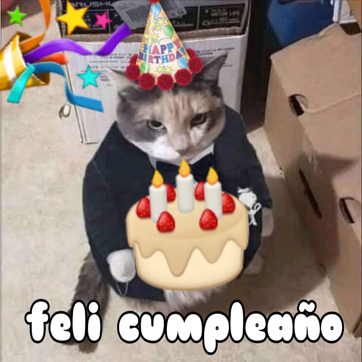 Gato Feliz Cumpleanos Meme Negocios Gato Meme Feliz Cumpleaños Eres
