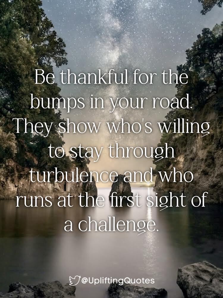 Bumps In The Road Quotes