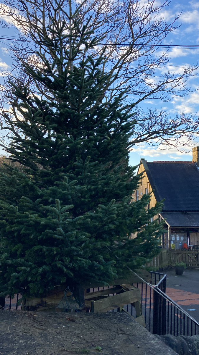 Mickley First School | Part of the Cheviot Learning Trust.