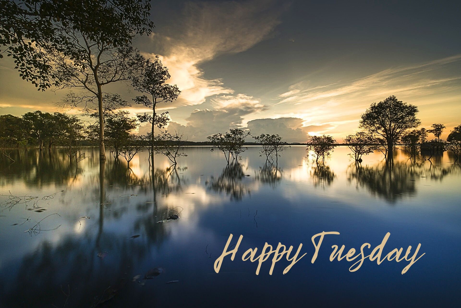 Chilly Morning Quotes 40+ Good Morning Winter Images Good Morning