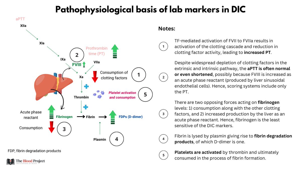 1/4 DIC LAB MARKERS I tweeted a poll yesterday asking which of 4 ...