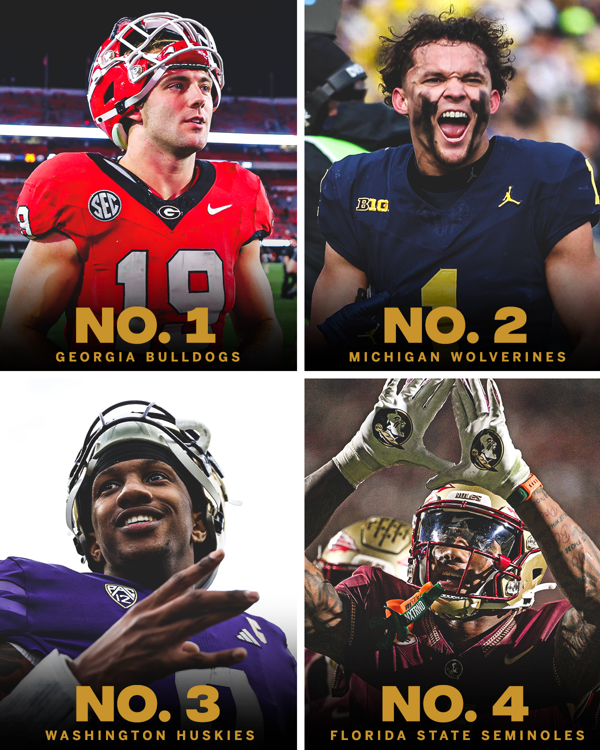 Georgia Bulldogs Memes Best Georgia Football Memes From The 2015