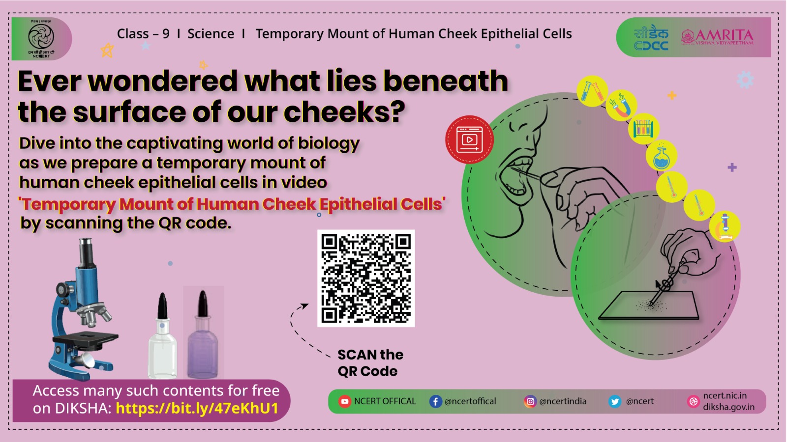Cheek Epithelial Cell