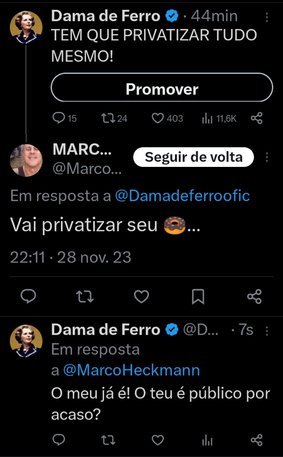 Memes Da Donzela De Ferro Dama De Ferro On X: "Essa Gente Não Sabe O