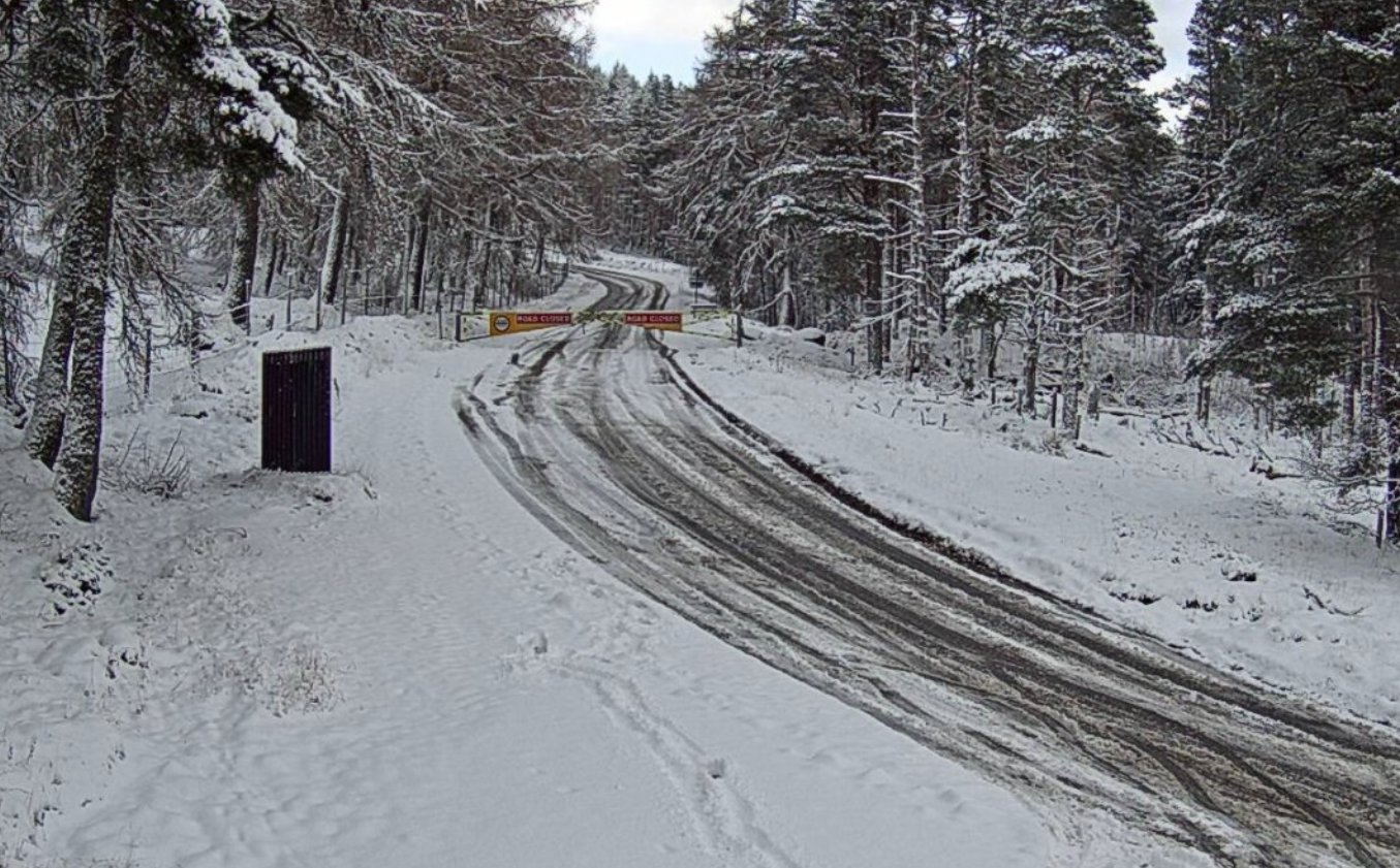 Snow Gate