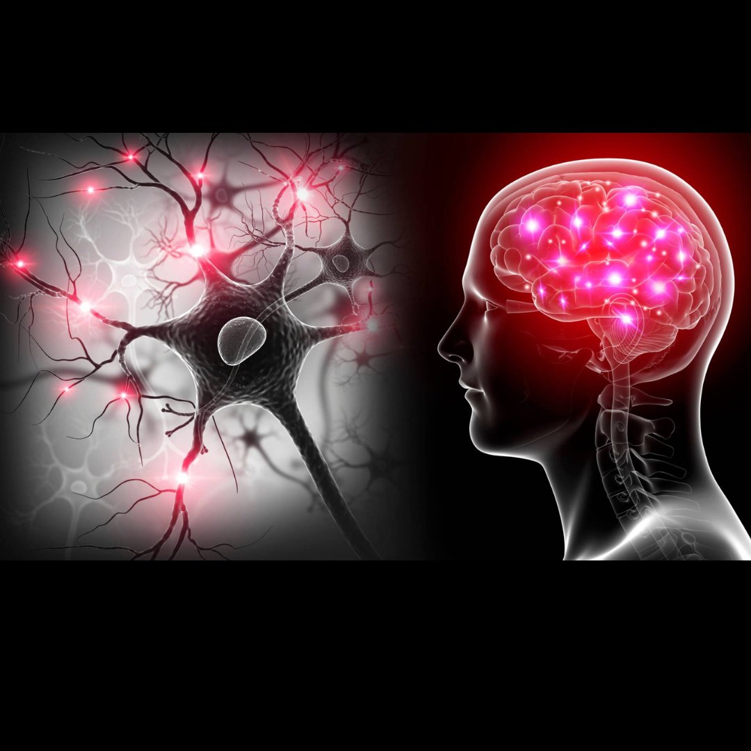 "Trade Like a Pro: The Magic of Mental Rehearsal! Mental rehearsal is a ...